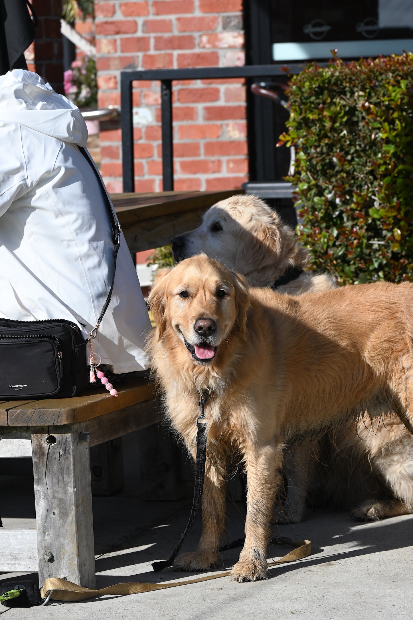 Donato Cafe Mount Martha – My Store